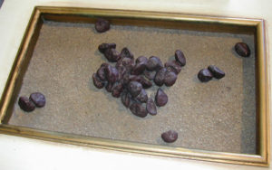 PooP | PoopApp.com-Identify the Poop